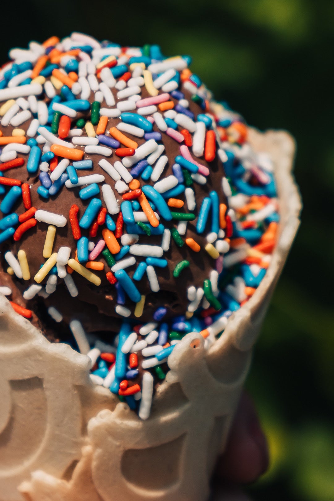 Large | Humdoo Ice Cream